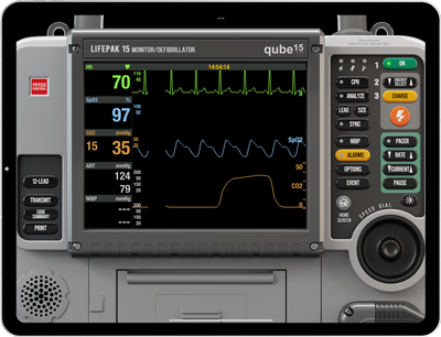 qubeFive - SKILLQUBE